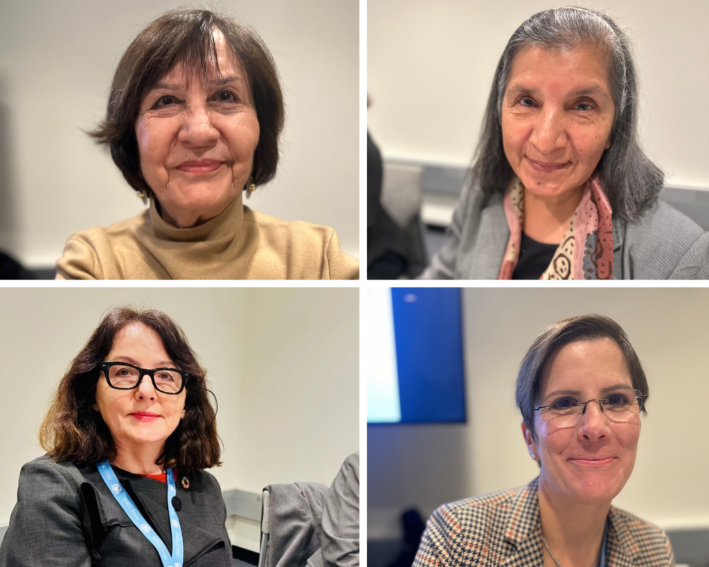 The Special Rapporteur: Celebrating 30 Years of Working to End Violence ...